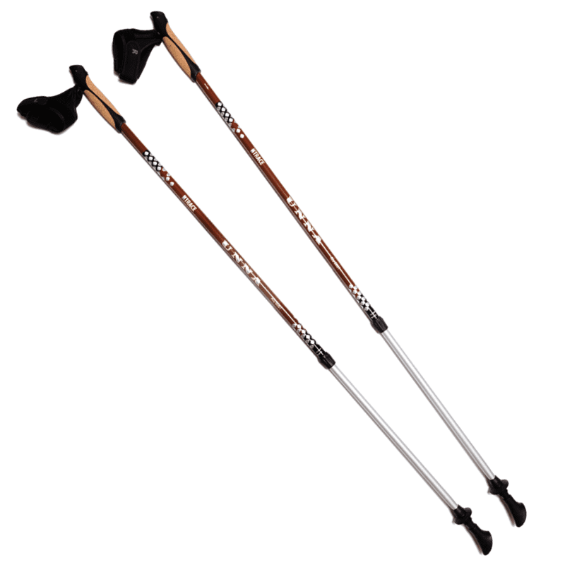 Палки BTrace NW Unna купить в Москве по низкой цене – интернет-магазин OpticsTrade